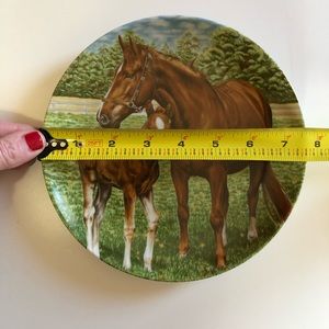 Kaiser | Other | Kaiser Collector Porcelain Horse Plate | Poshmark